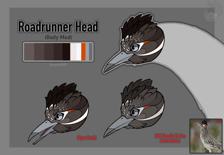 Roadrunner Head [Finished] | Fandom