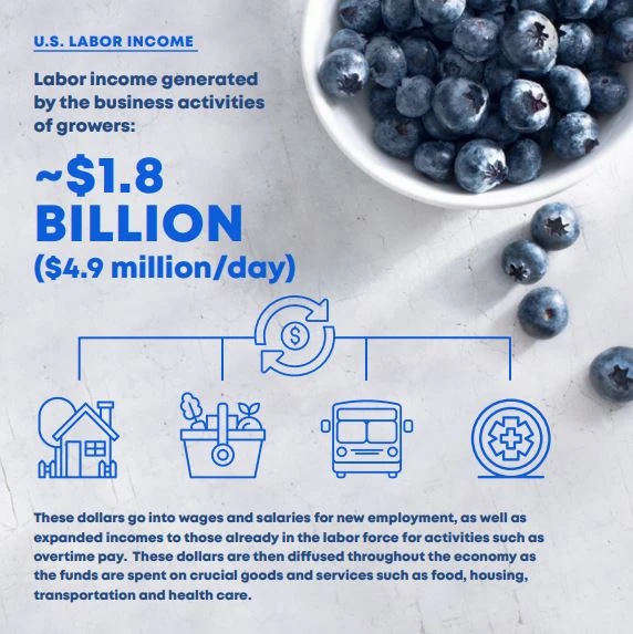 blueberry inflation | Fandom