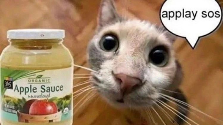 Applay sos chain 🥺 | Fandom