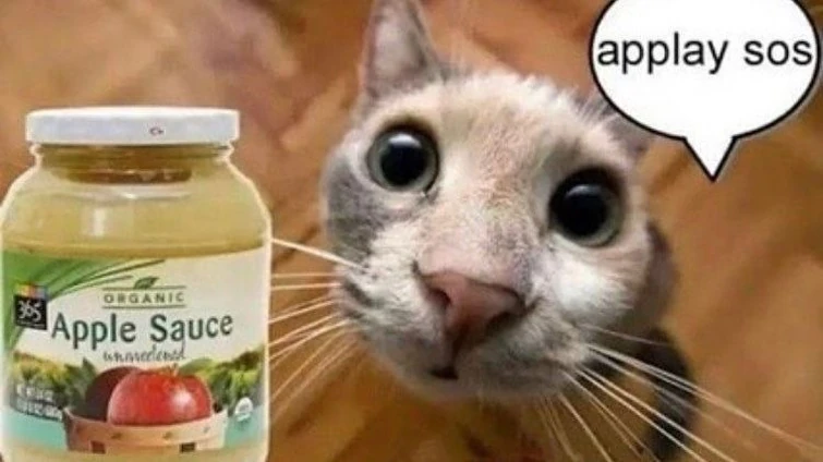 Applay sos chain 🥺 | Fandom