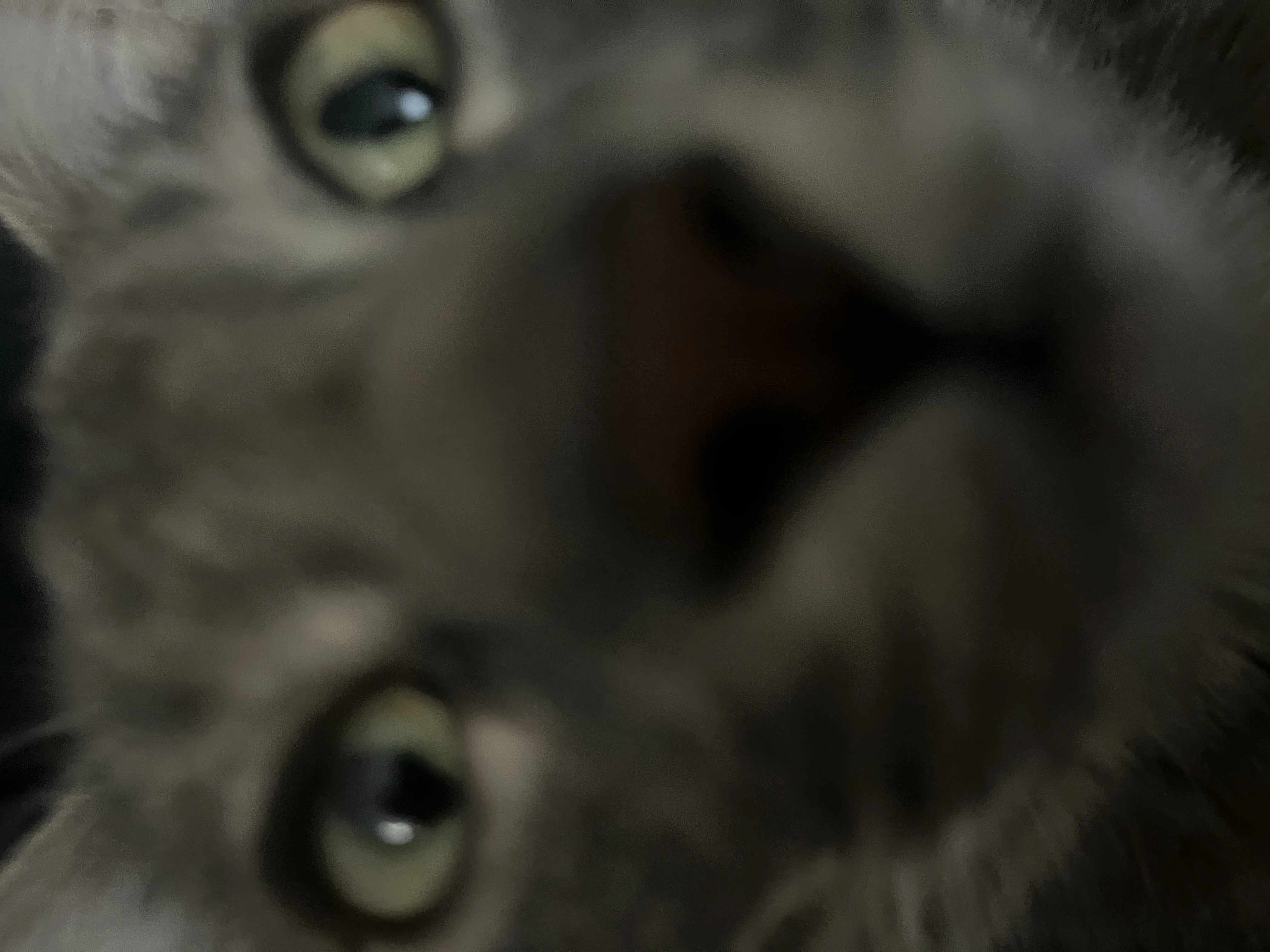 sprays you with skill issue perfume | Fandom