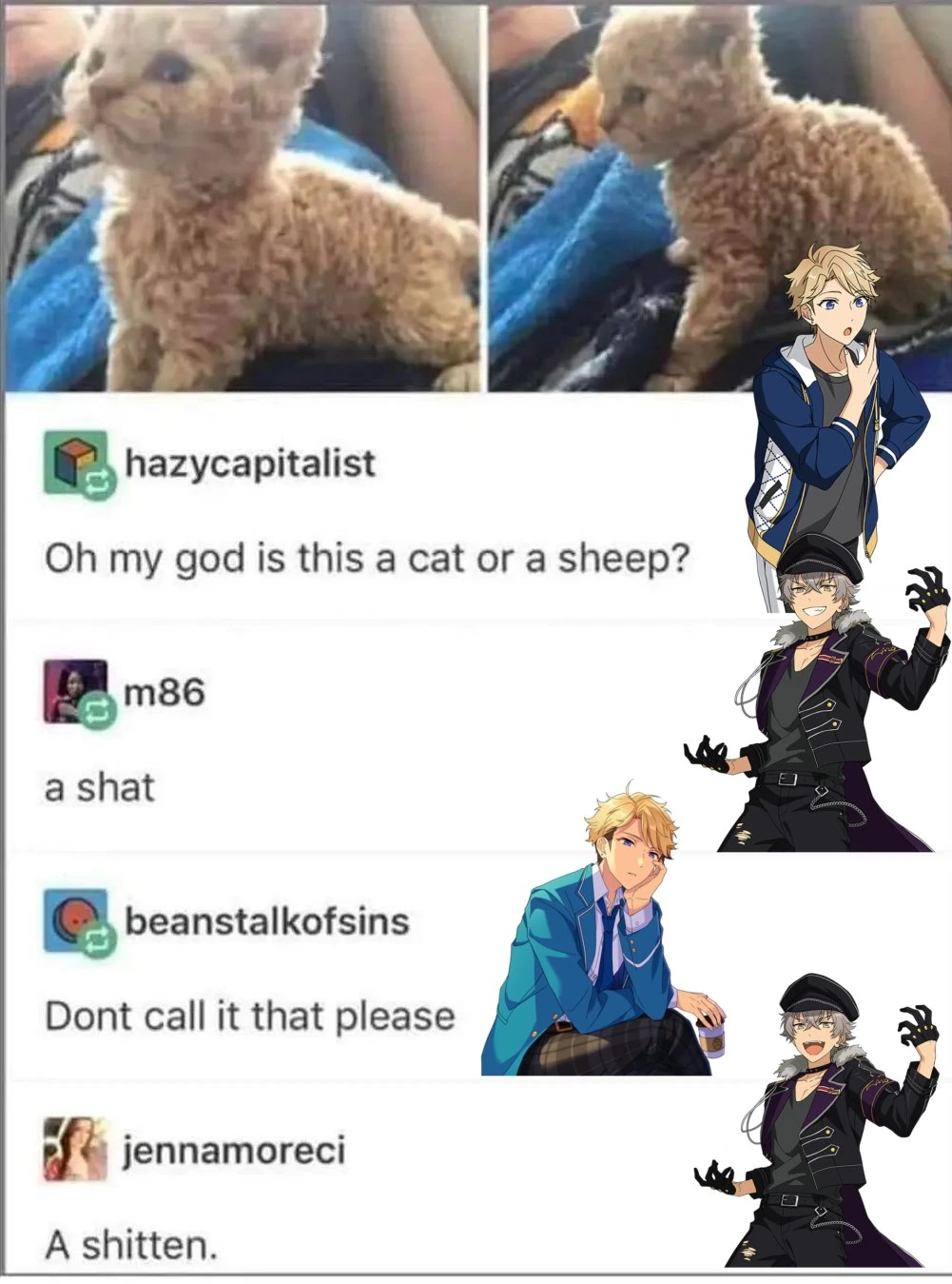 Memes part 3 | Fandom