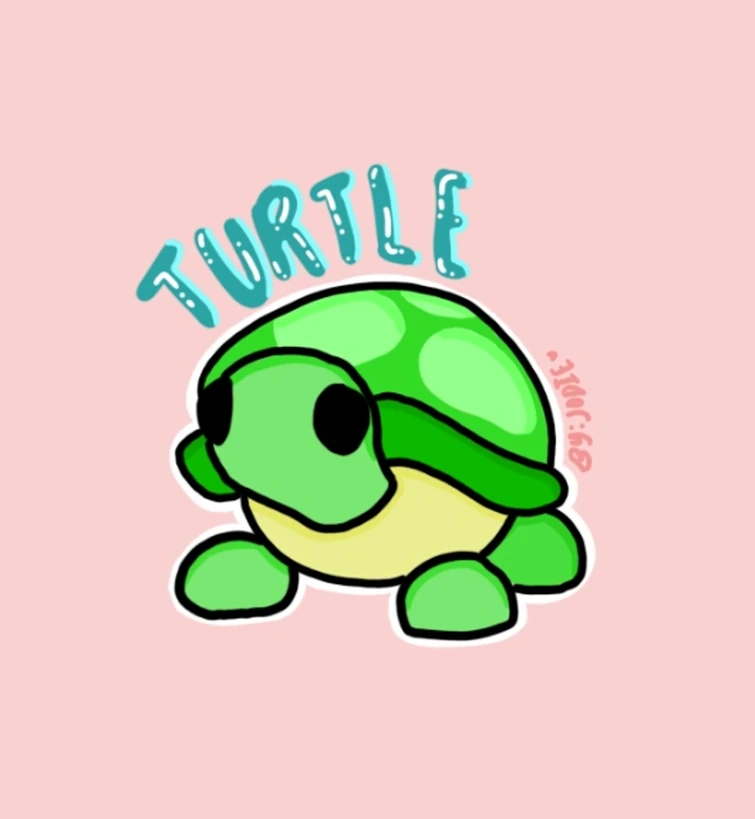 Turtle!? | Fandom