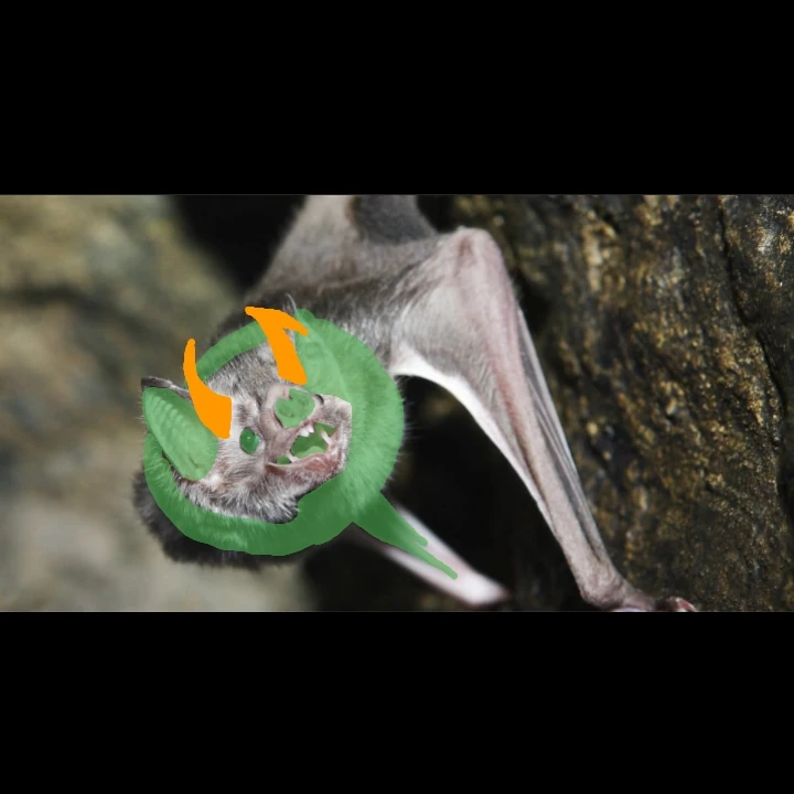 Real Kanaya Bat Form from Hemospectrum | Fandom