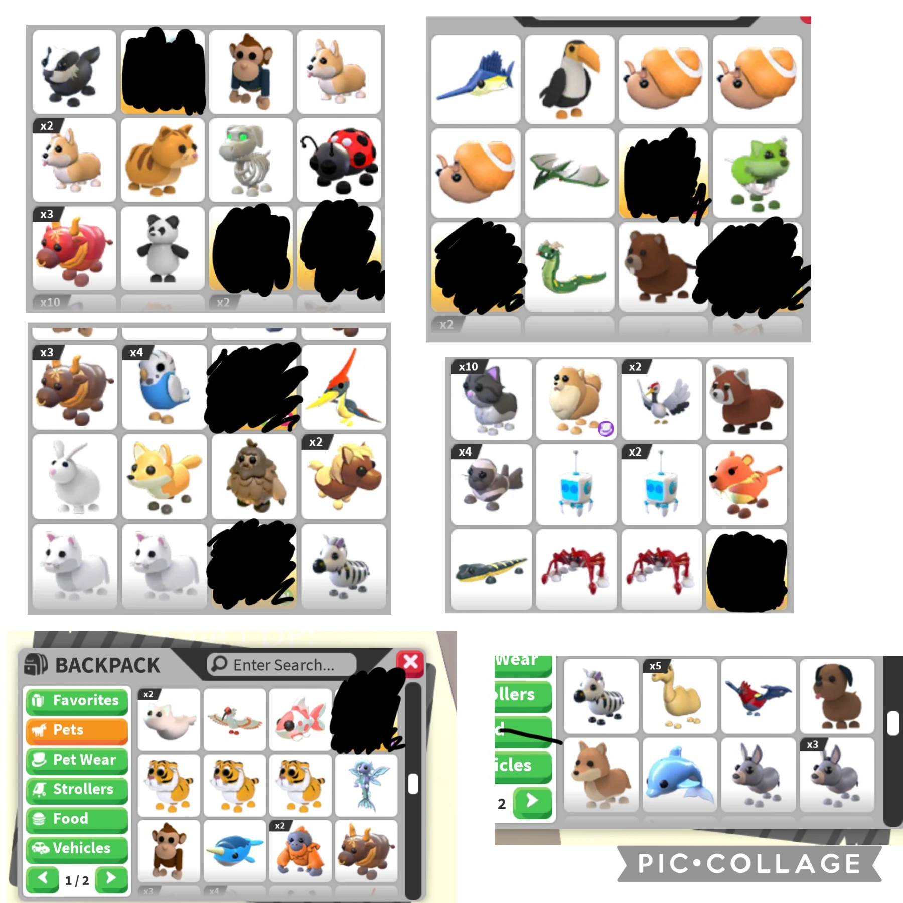 LF: leopard cats | Fandom