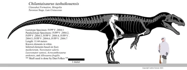 Who is more chad? | Fandom