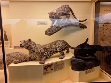 WATCHA THINK BOUT ME? | Fandom