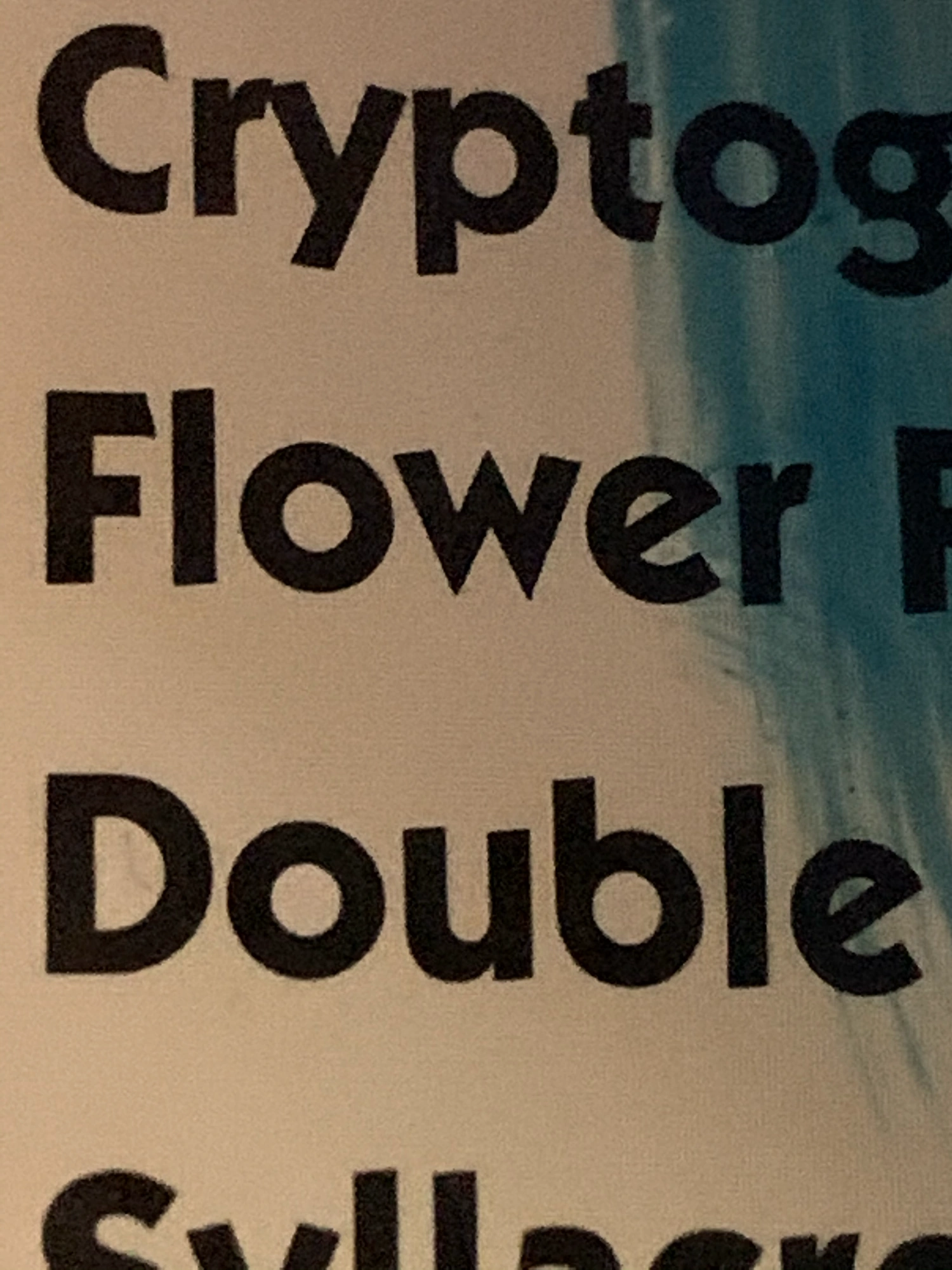 FLOWER | Fandom