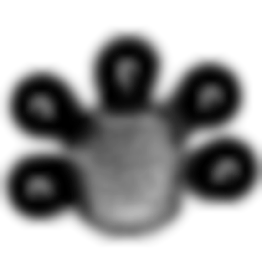 new outbreak entity | Fandom