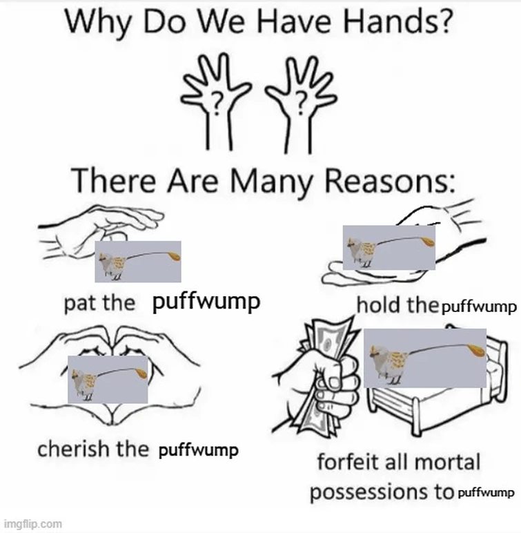 a meme about puffwump | Fandom