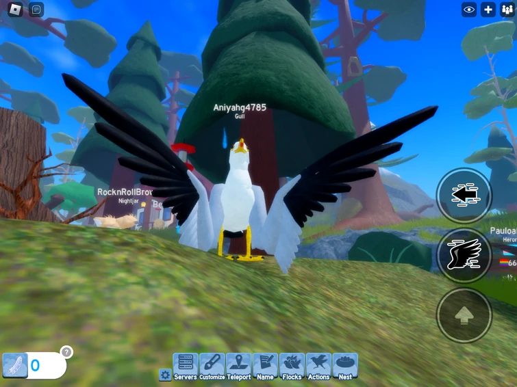 Discuss Everything About Feather Family Wiki | Fandom