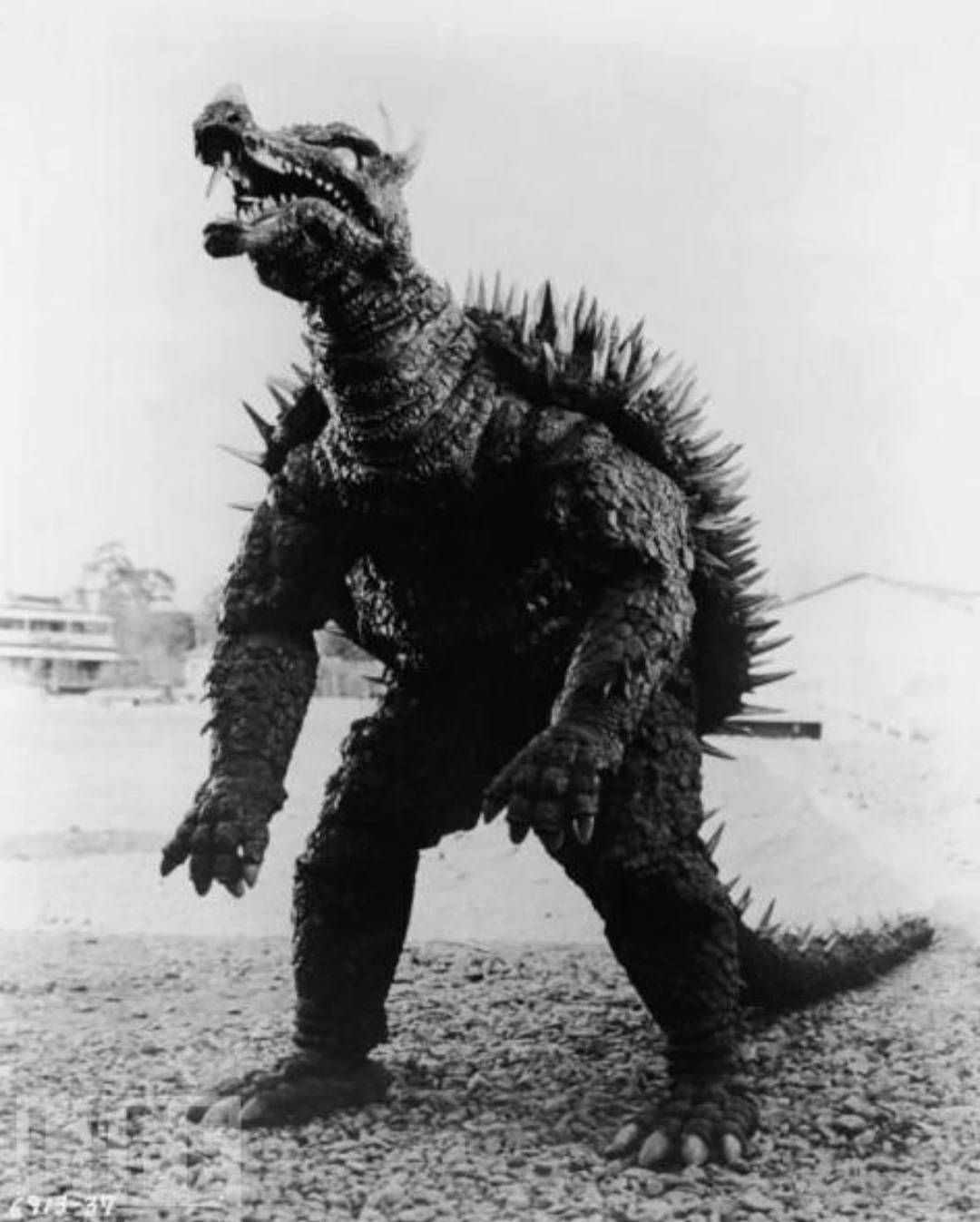 Monster review #1 - Anguirus | Fandom