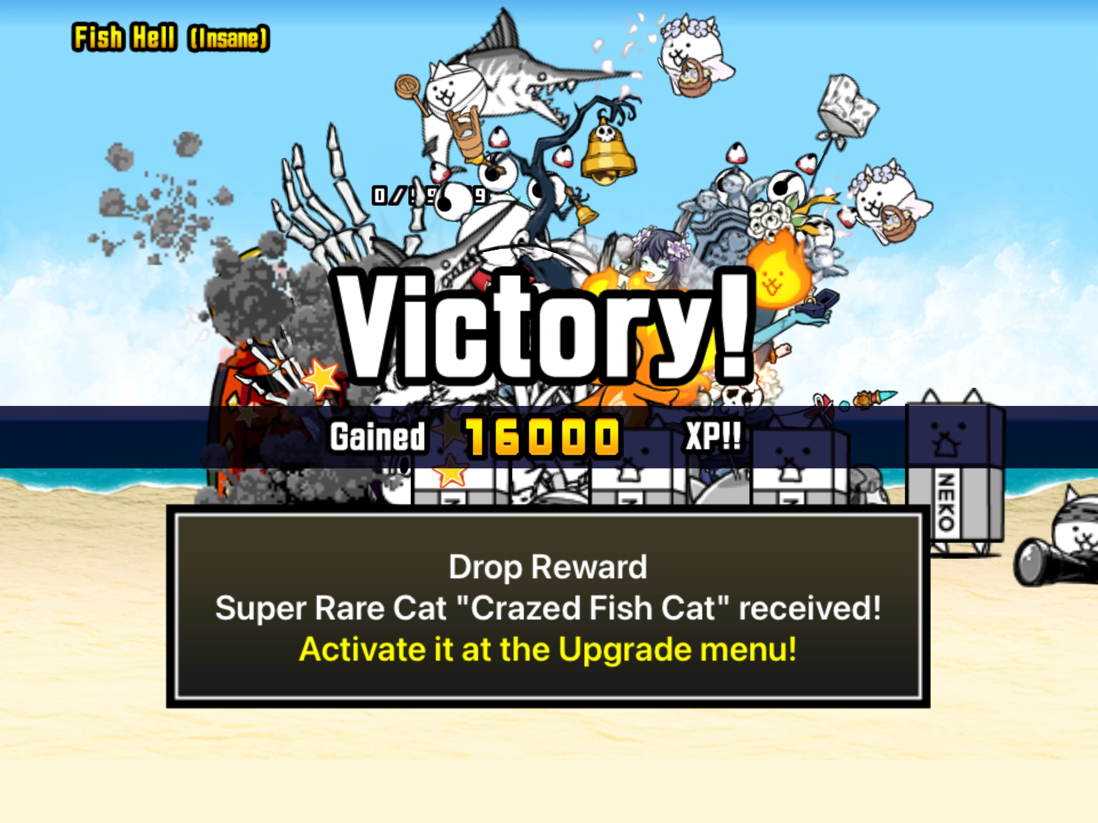 Yet another crazed cat | Fandom