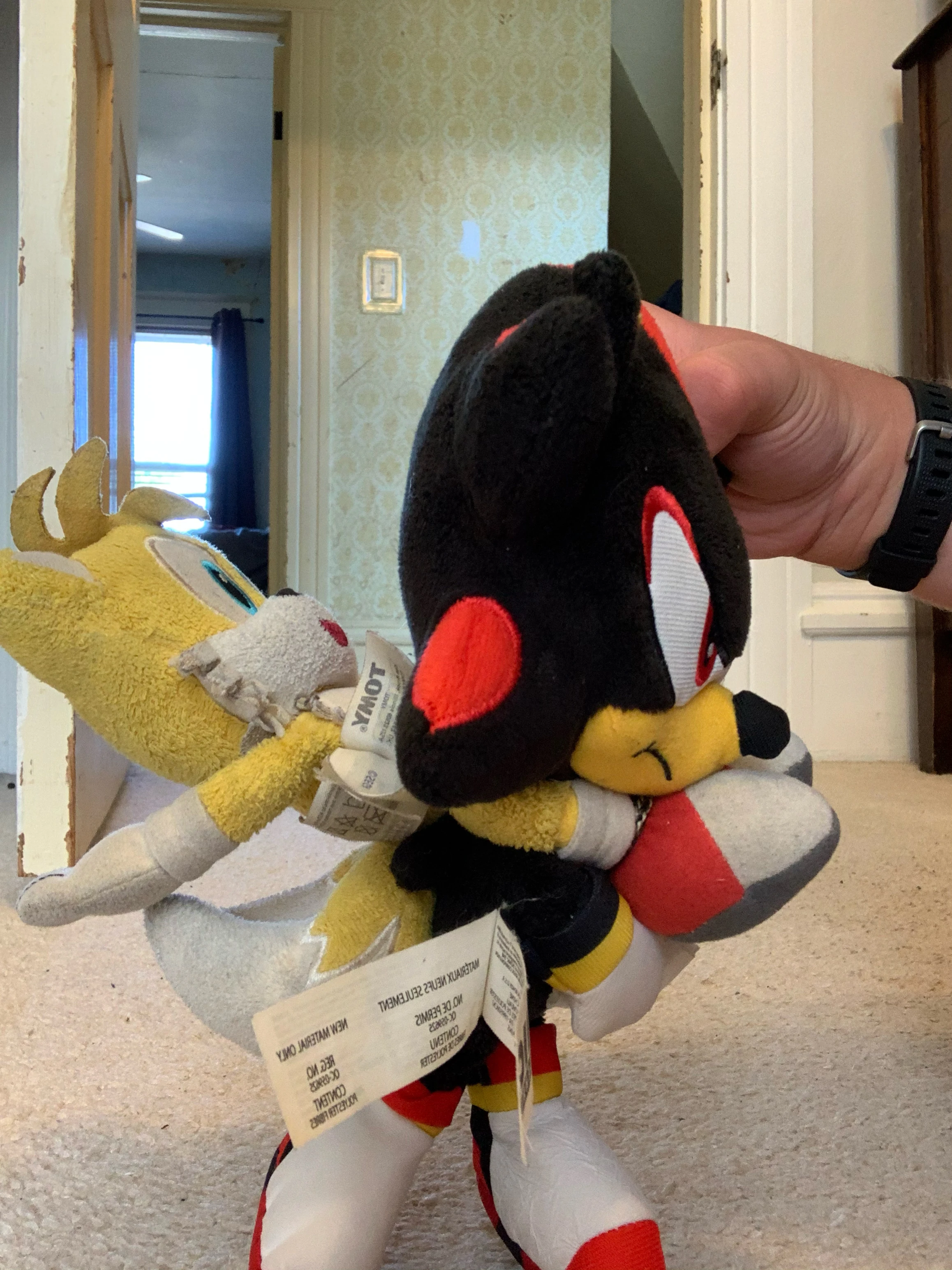 Shadow and Tails | Fandom