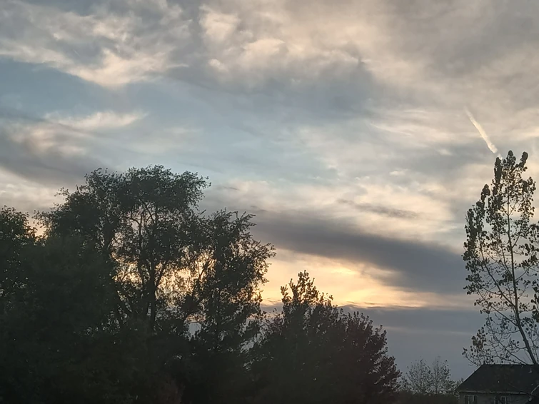 The sky today reminded me of Tolerate It | Fandom