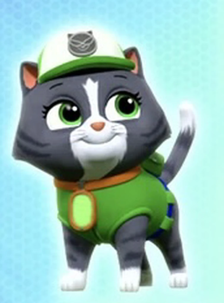 Cat Rocky in blue background | Fandom