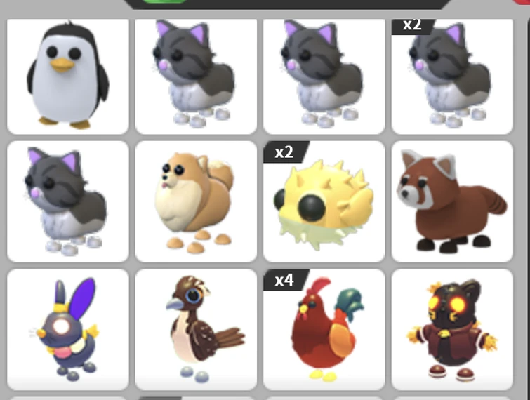 Discuss Everything About Adopt Me! Wiki | Fandom