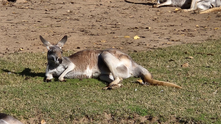 Say something | Fandom