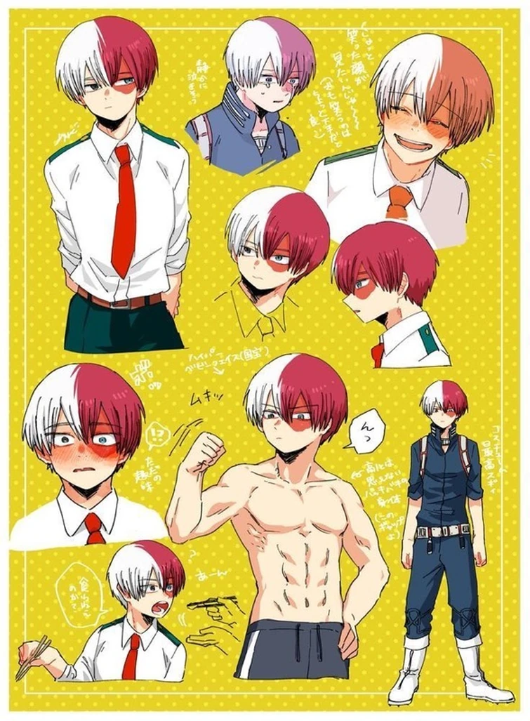 The Faces of Shoto Todoroki | Fandom