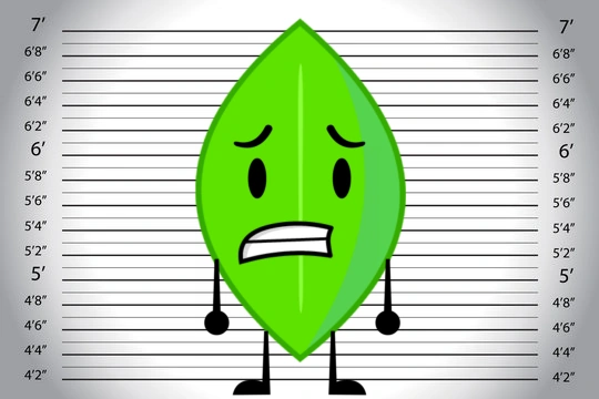 What if leafy was charged for her crimes | Fandom