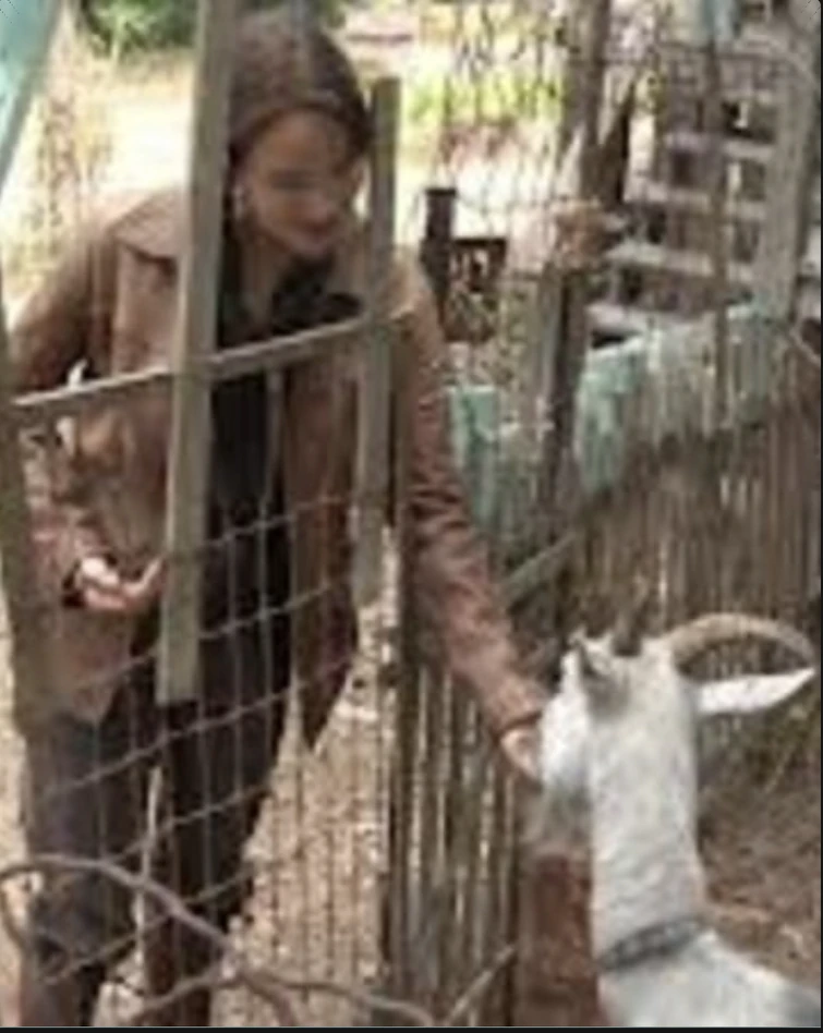 Discuss Everything About The Hunger Games Wiki | Fandom