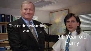 Hp Meme | Fandom