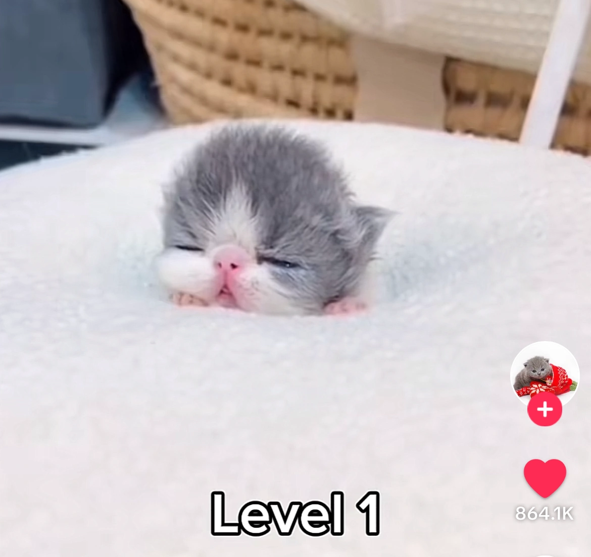 Buying ghosty nach for 10-15k | Fandom