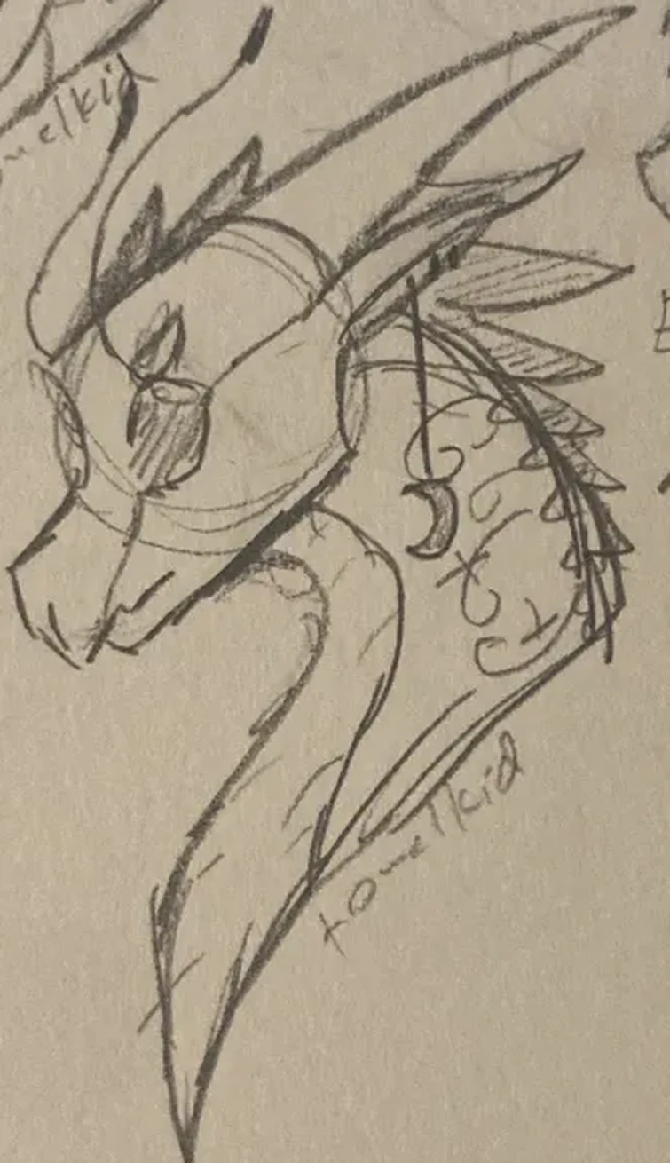 respond with a picture of your wof oc and ill draw them :) | Fandom