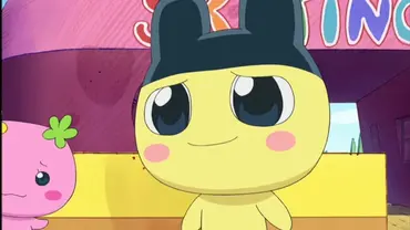 Have you watched the Tama anime? | Fandom