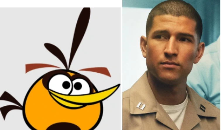Discuss Everything About Angry Birds Wiki | Fandom