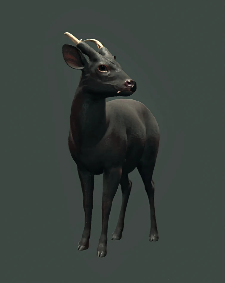 Discuss Everything About TheHunter: Call of the Wild Wiki | Fandom