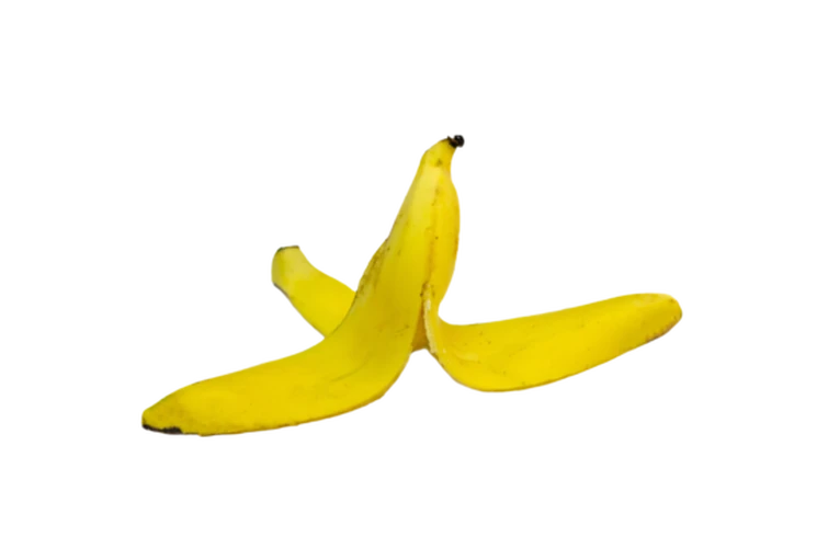 I love my irl friends so much | Fandom