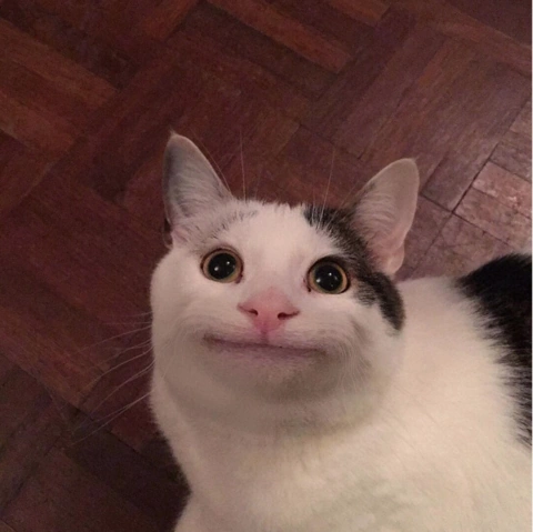 Anotha meme- | Fandom