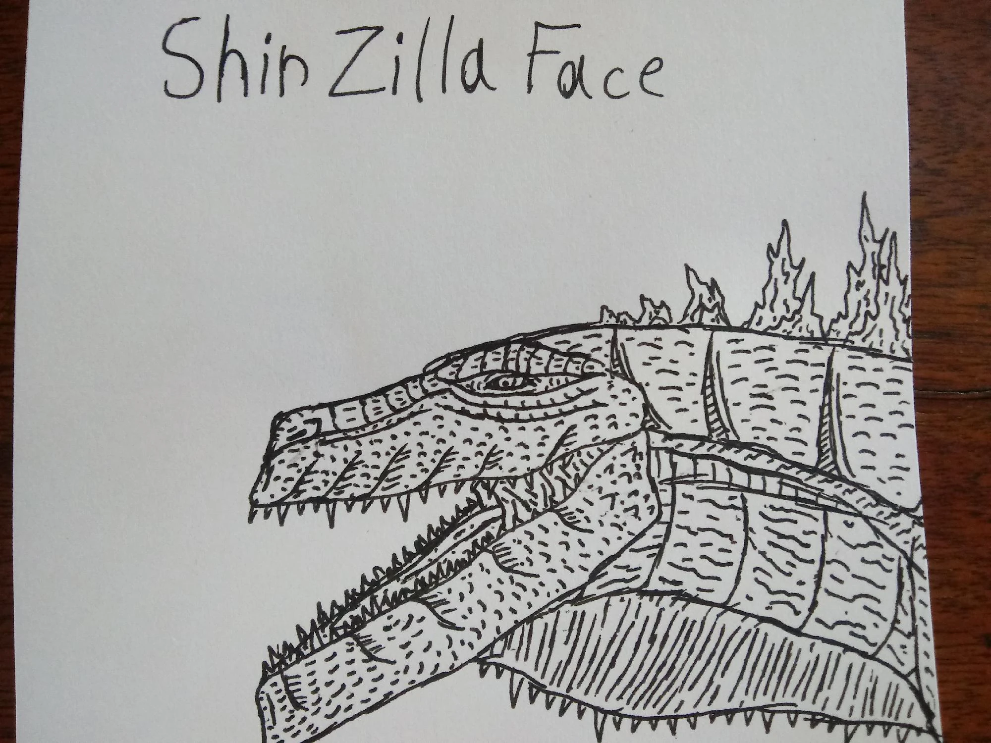 Shin Zilla Face | Fandom