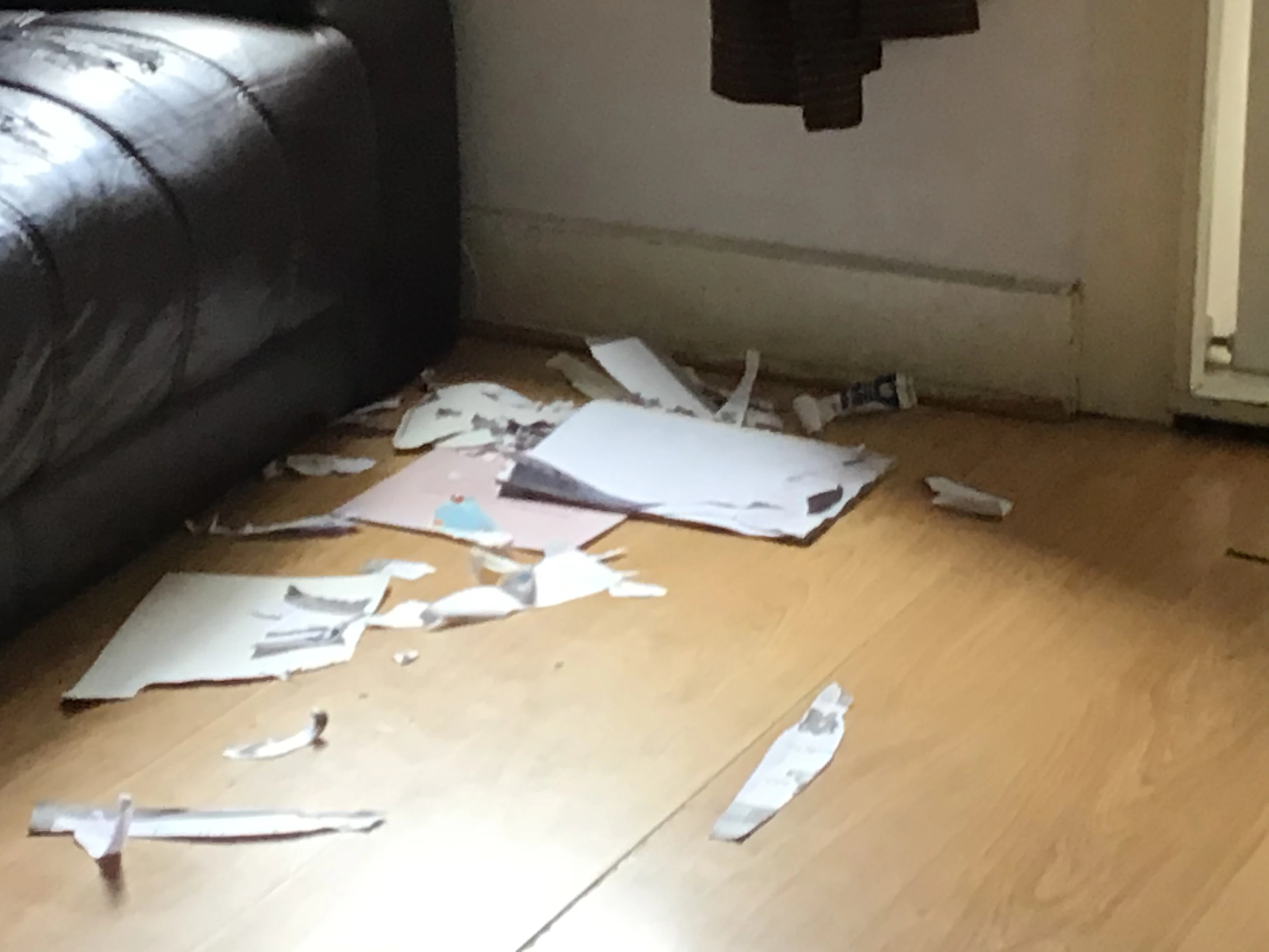 What did my lil’ bro just do- | Fandom