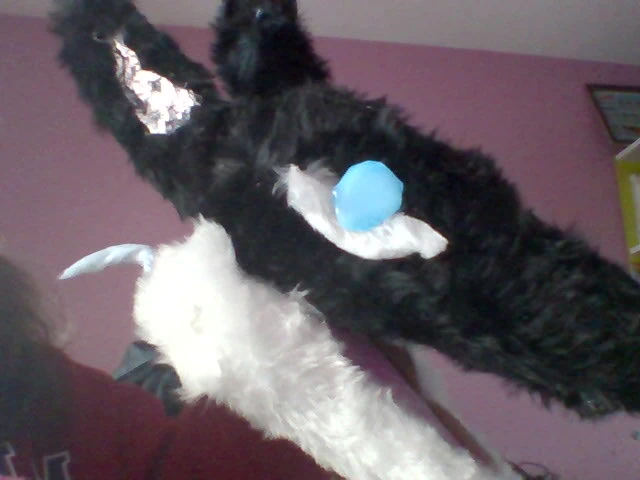 Dragon plushie Saurium pt. 4 (I think)! | Fandom