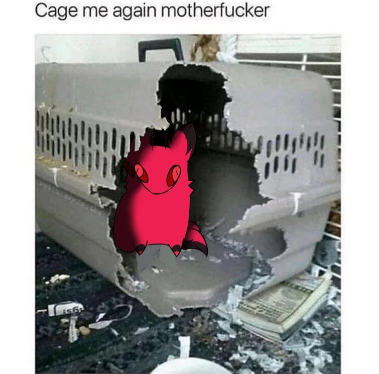 Send cat alastor the cat cursed aladtor cat memes | Fandom