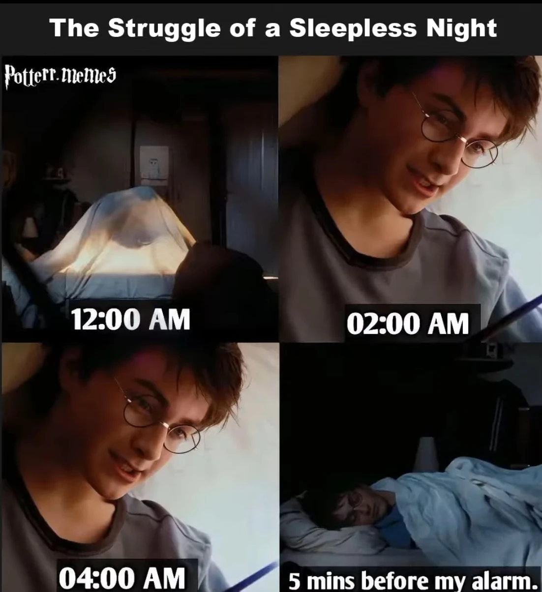 Daily HP Meme #20-25 (Meme barrage) | Fandom