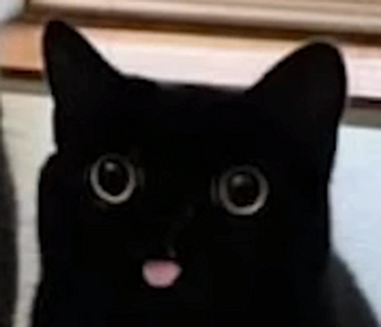 Trading def concept and sw bats! | Fandom