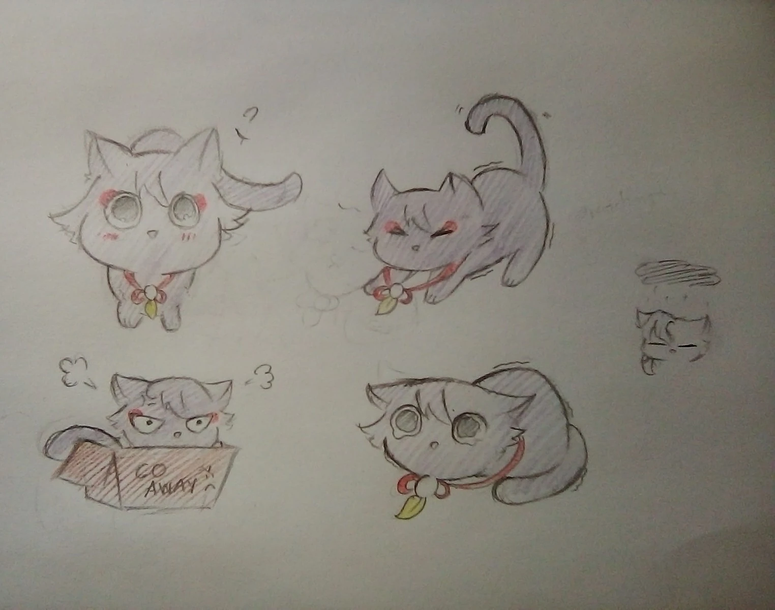 scaracat drawings | Fandom