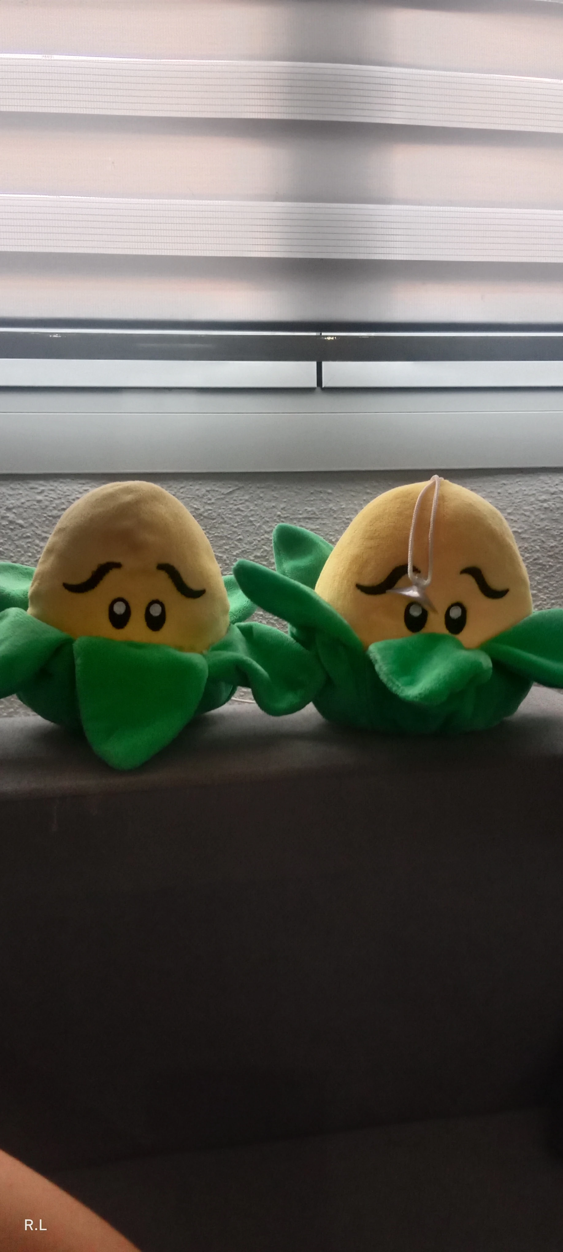 Linxin 2 or 1? | Fandom