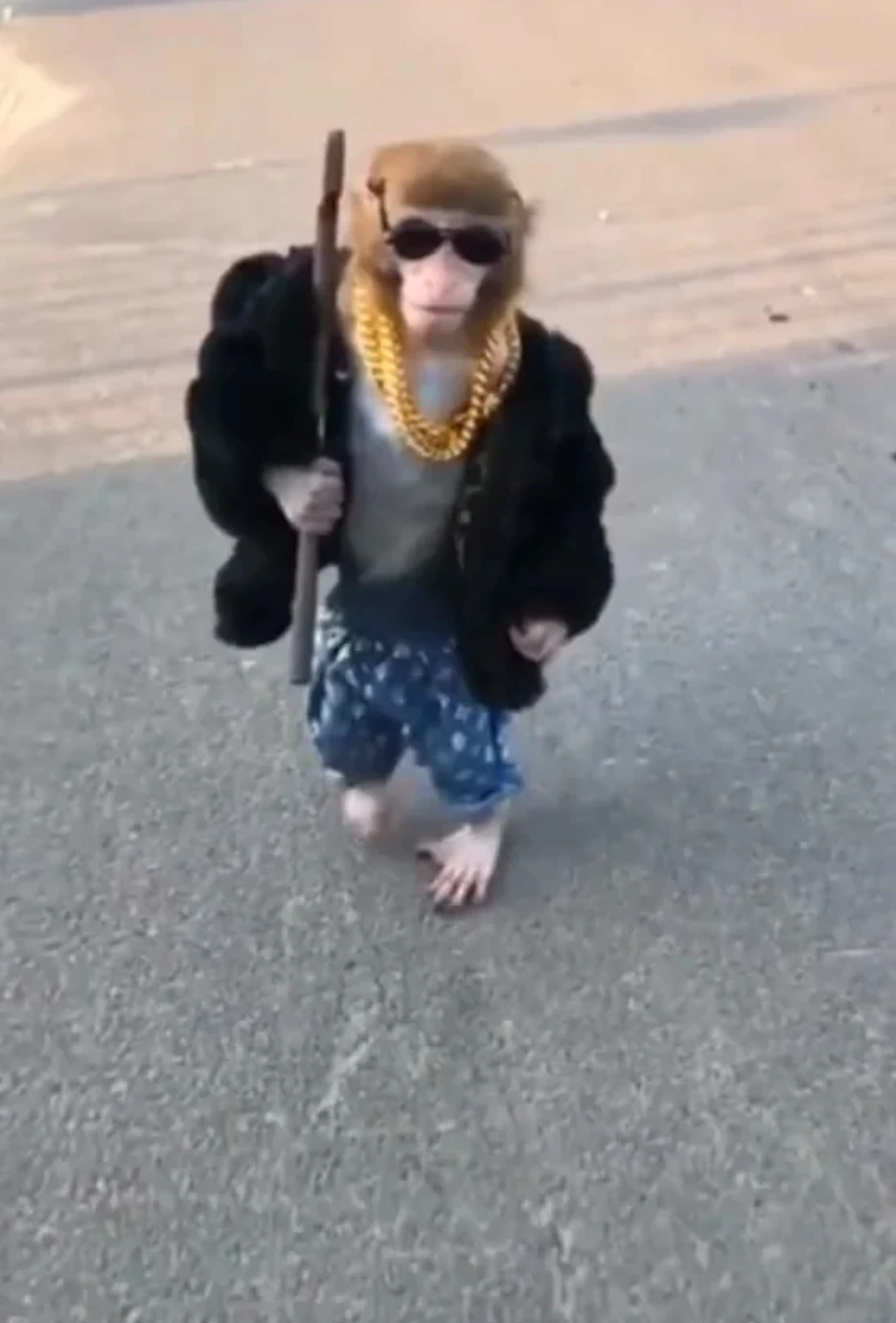 we need more monke joke levels | Fandom