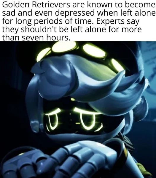 A not so fun fact | Fandom