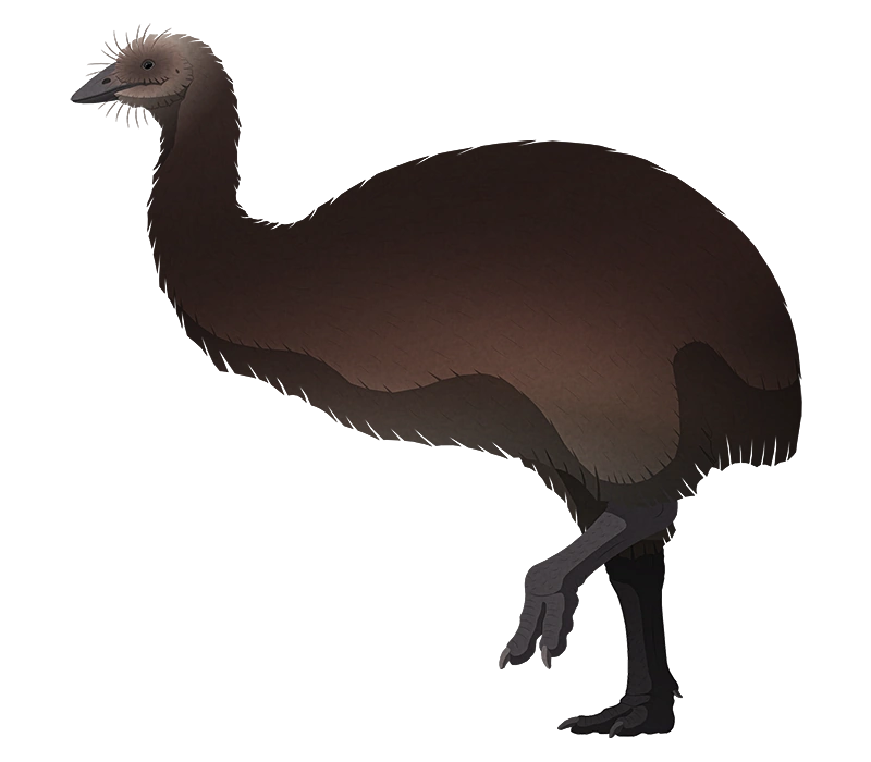 Paleo Exhibit | Fandom