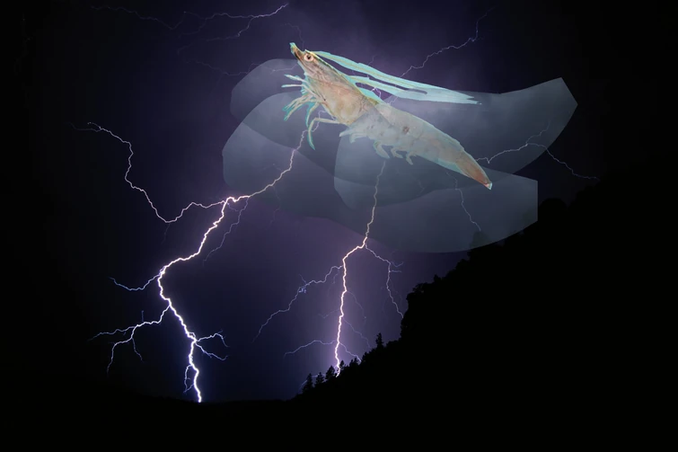 we need a flying shrimp | Fandom