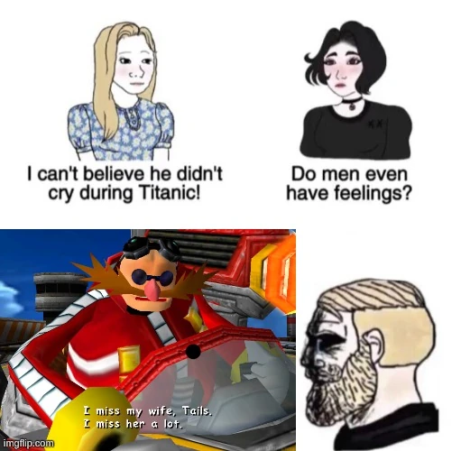 I made two Snapcube Sonic memes | Fandom