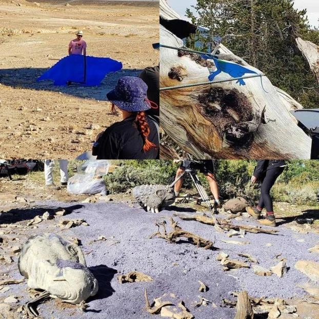 Final leaks for Surviving Earth. | Fandom