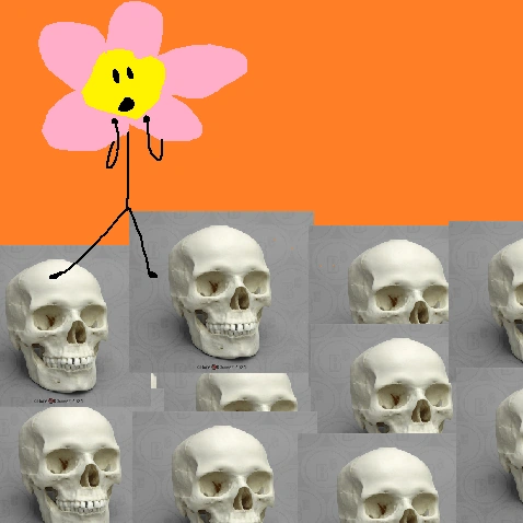 flower goes to dead land! like in bfdi! | Fandom