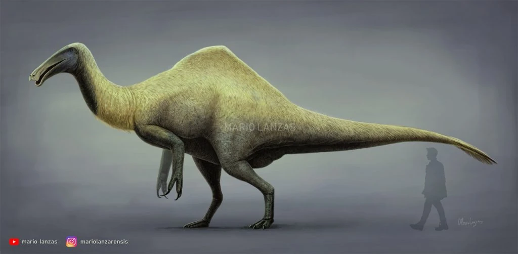 Deinocheirus concept | Fandom