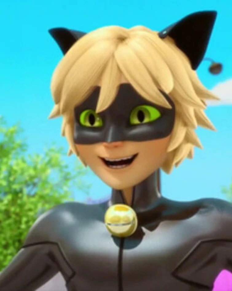 Cat noir! | Fandom